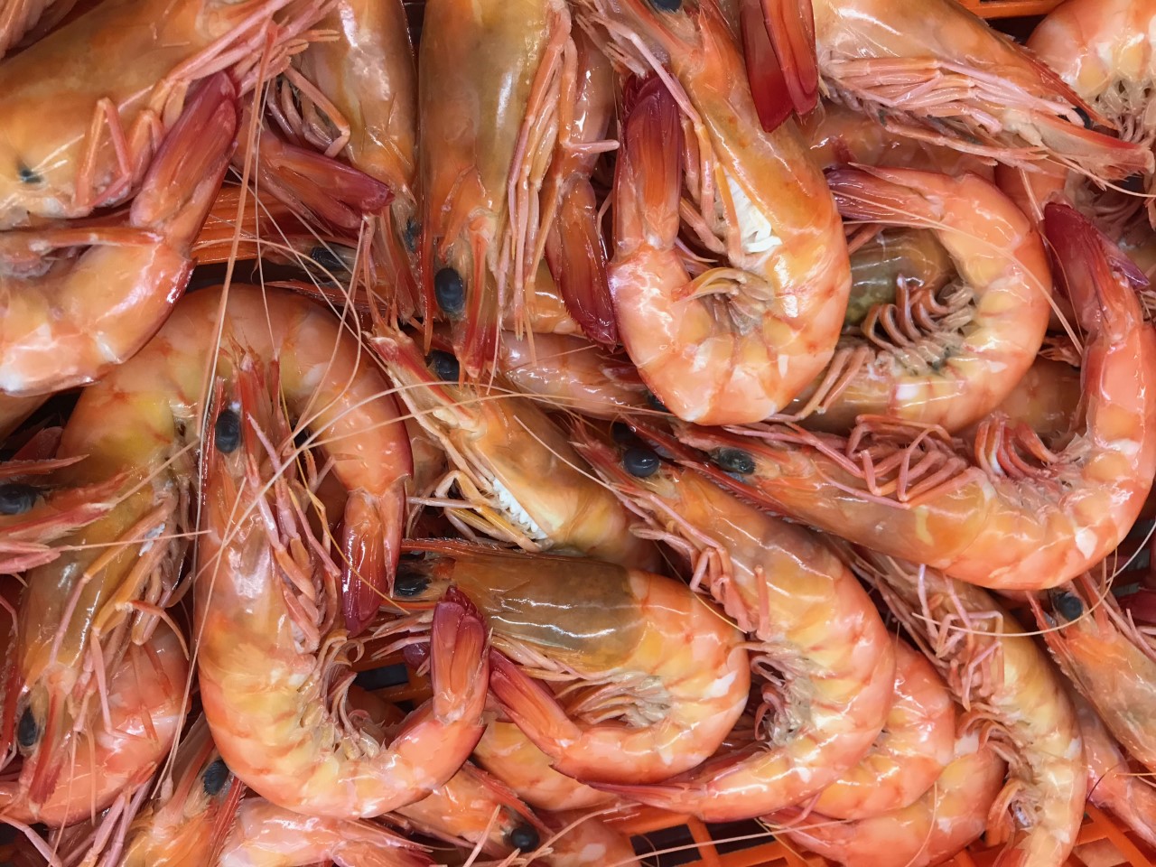 Order Online - Richmond Oysters